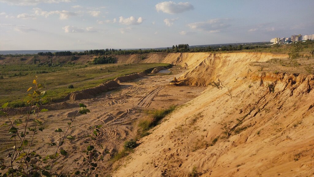 Orman Фигурная роща, Voronej, foto