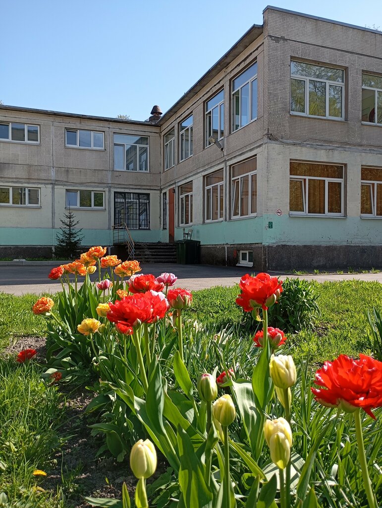 Anaokulları Detsky sad № 80, Saint‑Petersburg, foto