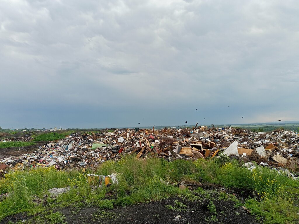 Atık depolama alanı Полигон твердых бытовых отходов, Polysayevo, foto