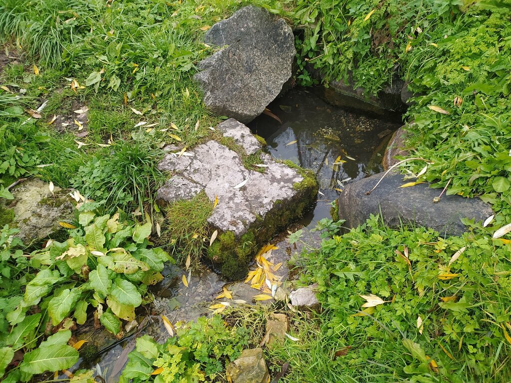 Pınar, çay Источник, Pskovskaya oblastı, foto