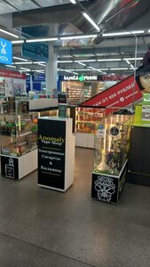 Vape Anomaly (Bol'shevistskaya Street No:45/1), elektronik sigara satış noktaları  Novosibirsk'ten