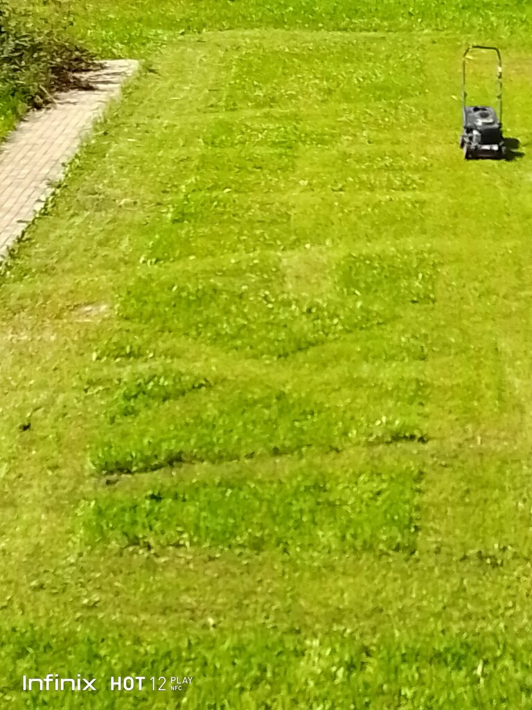 Kültür ve eğlence parkları Яблоневый сквер, Riazan, foto