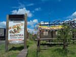 Шашлык (No:26, rabochiy posyolok Prigorsk), kafe  Hakasya'dan