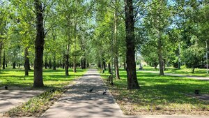 Yubileynaya Street Park (Moscow Region, Orekhovo-Zuyevskiy Urban District, Avsyunino Settlement, Yubileynaya Street), meydan  Moskova ve Moskovskaya oblastından