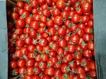 Магазин овощей и фруктов (Tayozhnaya ulitsa No:224И), manavlar  Novy Urengoy'dan