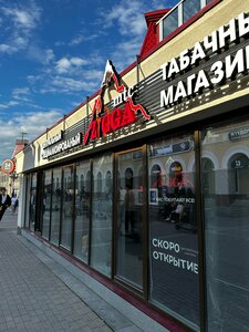 Zigga MTC (Republic of Bashkortostan, gorodskoy okrug Ufa, Kirovskiy District, Verkhnetorgovaya ploshchad, 6), tütün, sigara mağazaları  Ufa'dan