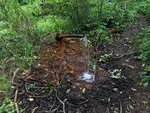 Spring, stream (Viciebskaja voblasc, Arshanski rajon, Andrejewshchynski sielsaviet, vioska Prydniaproŭje, Orshanskaya ulitsa), pınar, çay  Vitebskaya oblastından