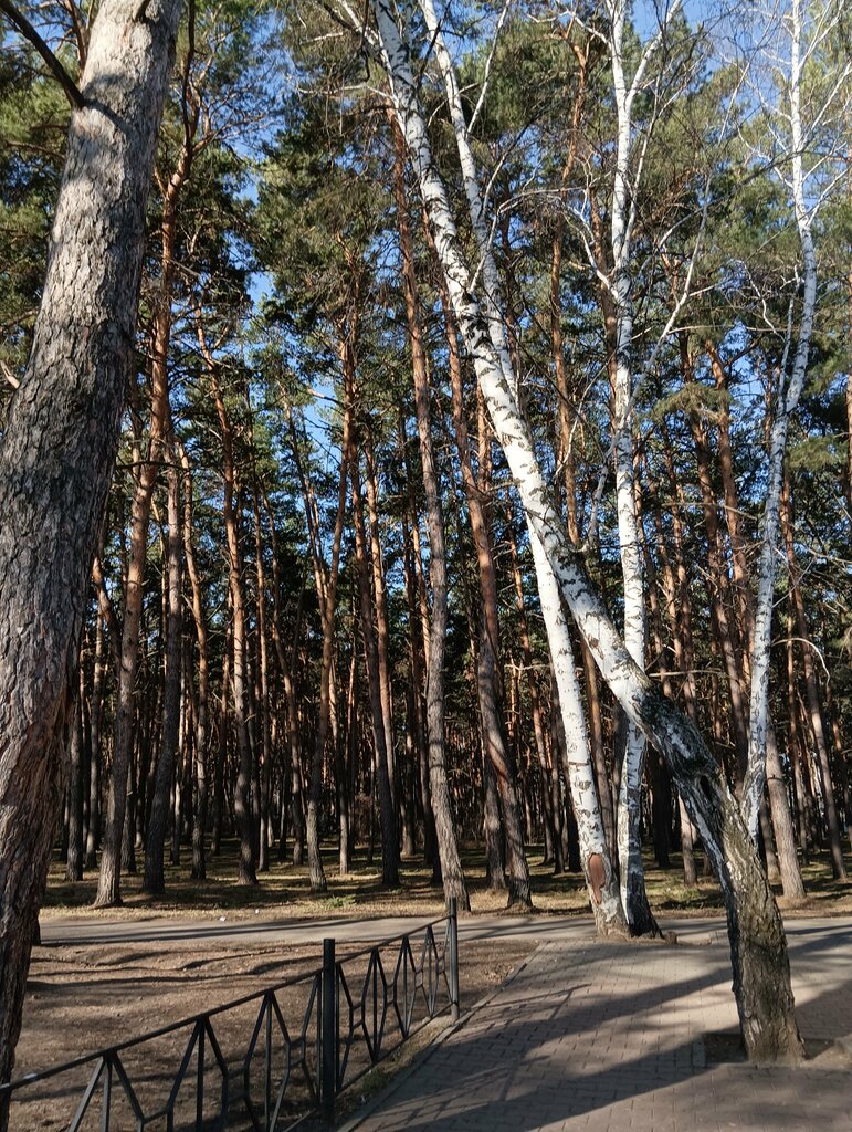 Tatil altyapısı База отдыха им. Стрельникова, корпус № 2, Omskaya oblastı, foto