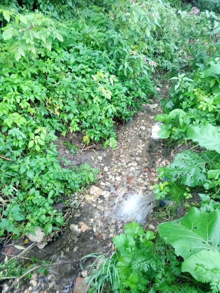 Pınar, çay Spring, stream, Serpuhov, foto