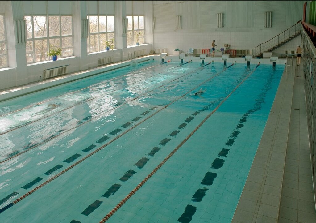 Spor kurumları Shkola plavaniya Delfin, Vladimir, foto