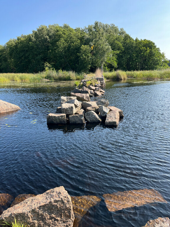 Turistik yerler Развалины финского моста, Saint‑Petersburg ve Leningradskaya oblastı, foto