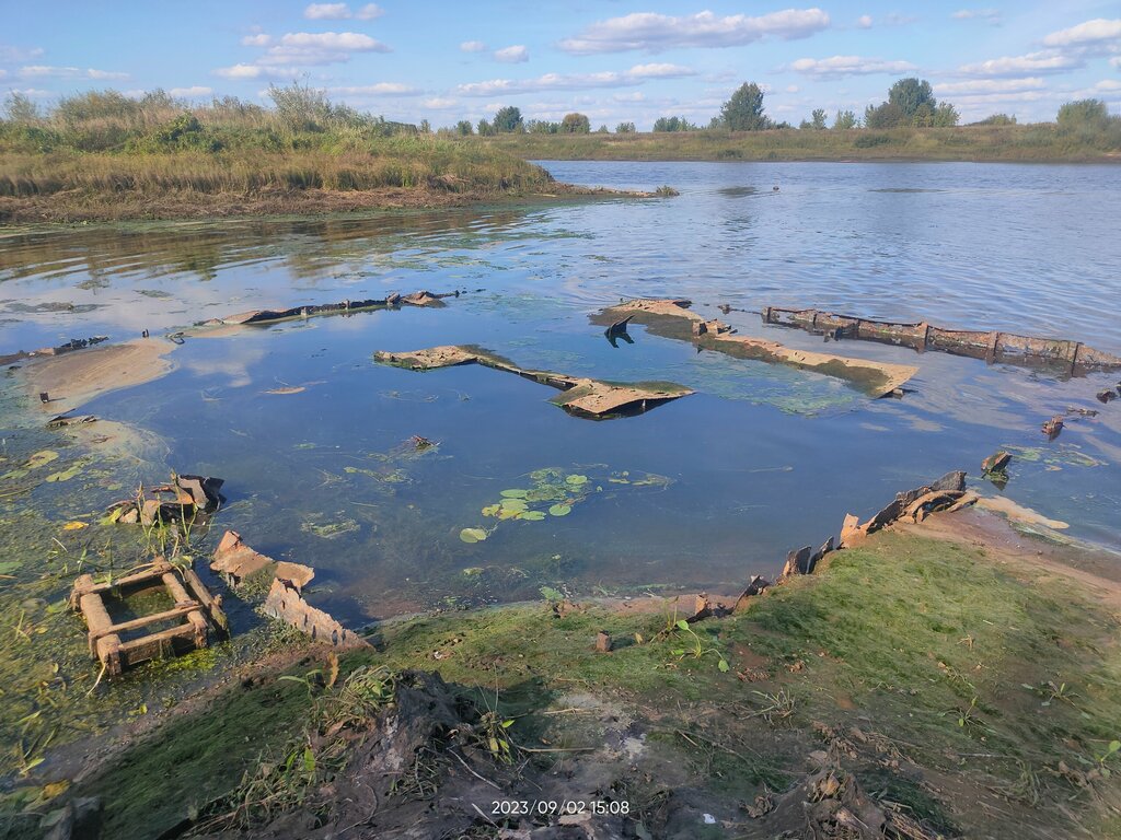 Plaj Пляж, Nijegorodskaya oblastı, foto