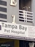Tampa Bay Pet Hospital (Street 45 No:28, Sector E-11), petshop  Islamabad'dan