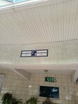 Фишт (Yana Fabritsiusa Street No:2/9), spor kulüpleri  Soçi'den