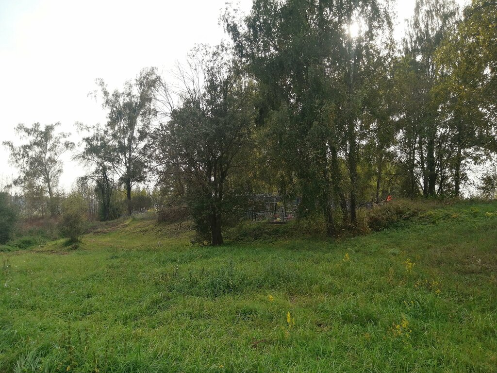 Mezarlıklar Любашковское кладбище № 2, Vitebskaya oblastı, foto