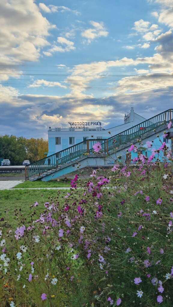 Tren istasyonu станция Чистоозёрная, Novosibirskaya oblastı, foto