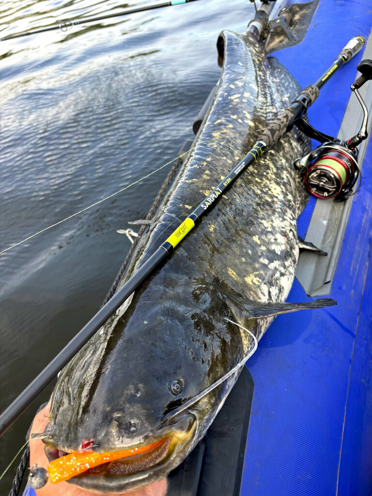 Balık çiftçiliği ve toptancıları Рыбалка у Дмитрия, Moskova ve Moskovskaya oblastı, foto