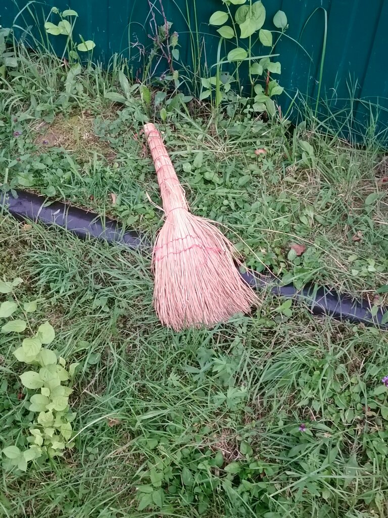 Bahçecilik dernekleri ve kuruluşları Правление СНТ Звёздочка, Moskova ve Moskovskaya oblastı, foto