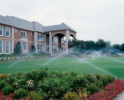 Peyzaj tasarımı H2O Irrigation And Landscaping, Dubai, foto