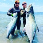 Sharksub (Belediye Evleri Mah., 84118. Sok., No:35, Çukurova, Adana), dalış kulüpleri ve eğitim merkezleri  Adana'dan