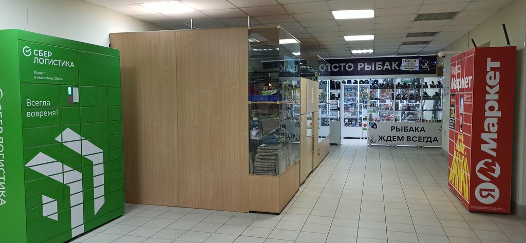 Akvaryumlar Tetrazona, Volgograd, foto