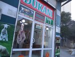 Et dukani (Qəşəm Aslanov küçəsi No:61H), kasap, şarküteri  Hırdalan'dan