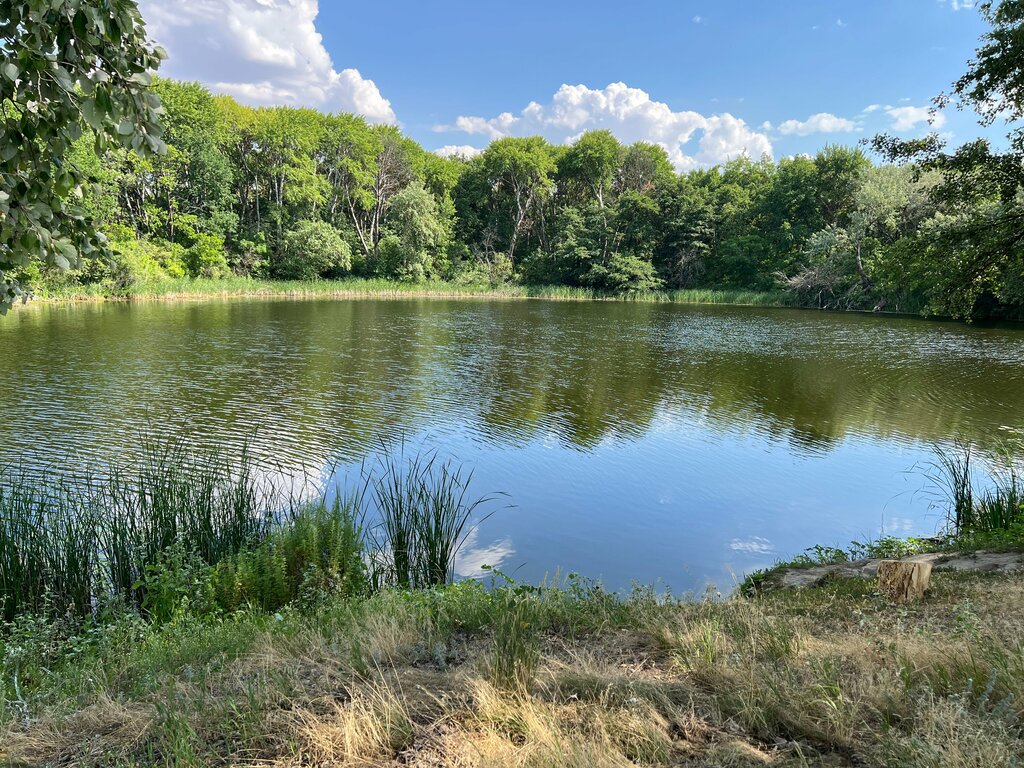 Plaj Пляж, Volgogradskaya oblastı, foto