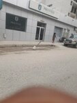 Protteja (Luanda, Rua da Maianga), sigorta şirketleri  Loanda'dan