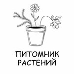 Питомник растений Елены Перминовой (Shkolnaya ulitsa No:11, posyolok Lasva), fidan yetiştiriciliği  Permski krayından