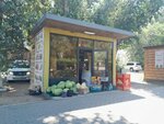 Vegetables & fruits (Astana, Saryarqa audany), manavlar  Astana'dan