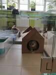 Котикот (ulitsa Bayazita Bikbaya No:44А), pet otel  Ufa'dan