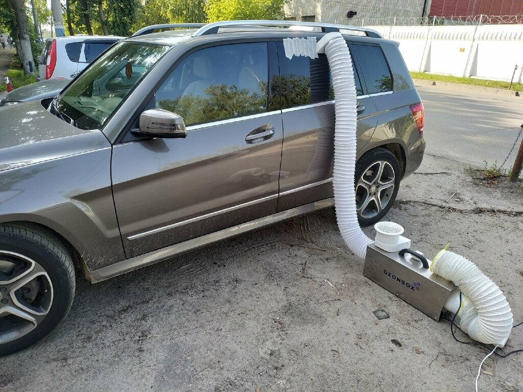 Kuru temizlemeciler Kristal, Nijegorodskaya oblastı, foto