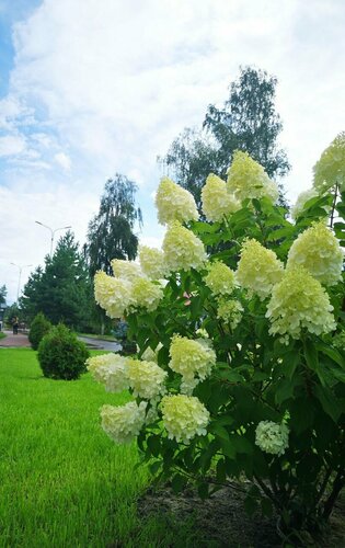 Otel Uvelsky resorts, Çeliabinskaya oblastı, foto