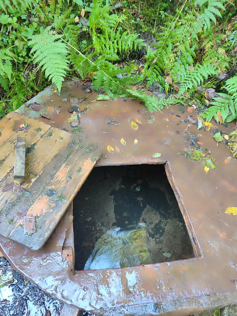 Pınar, çay Spring, stream, Saint‑Petersburg ve Leningradskaya oblastı, foto