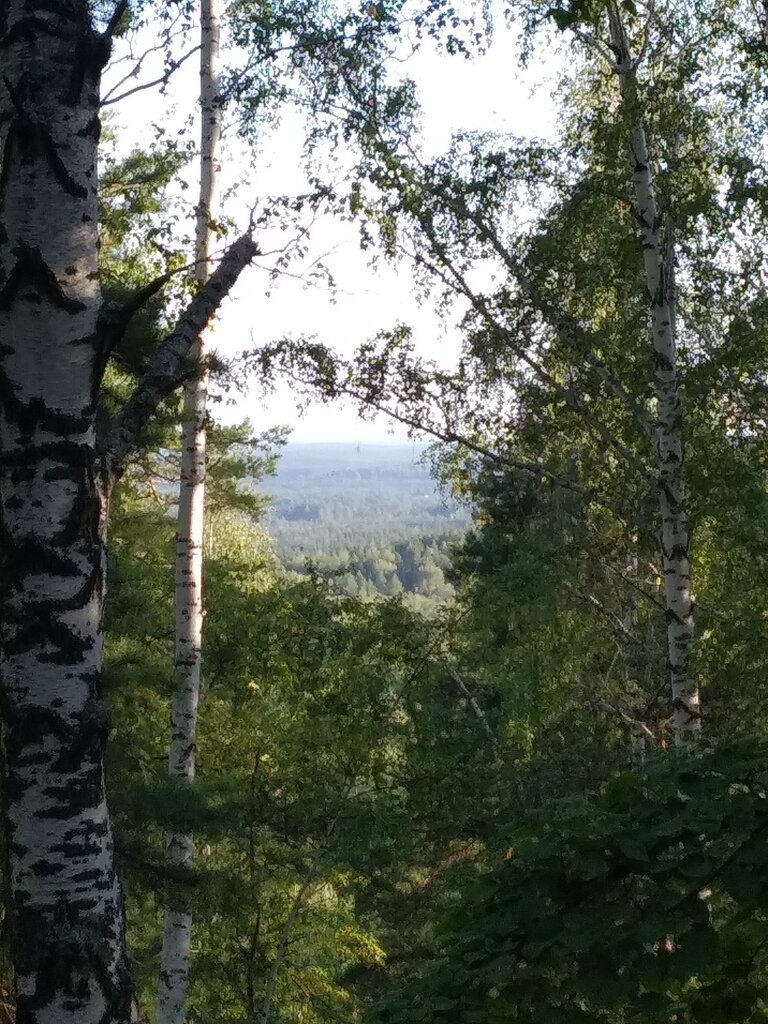 Dağ zirvesi Гора Пуп 357 метров, Yekaterinburg, foto