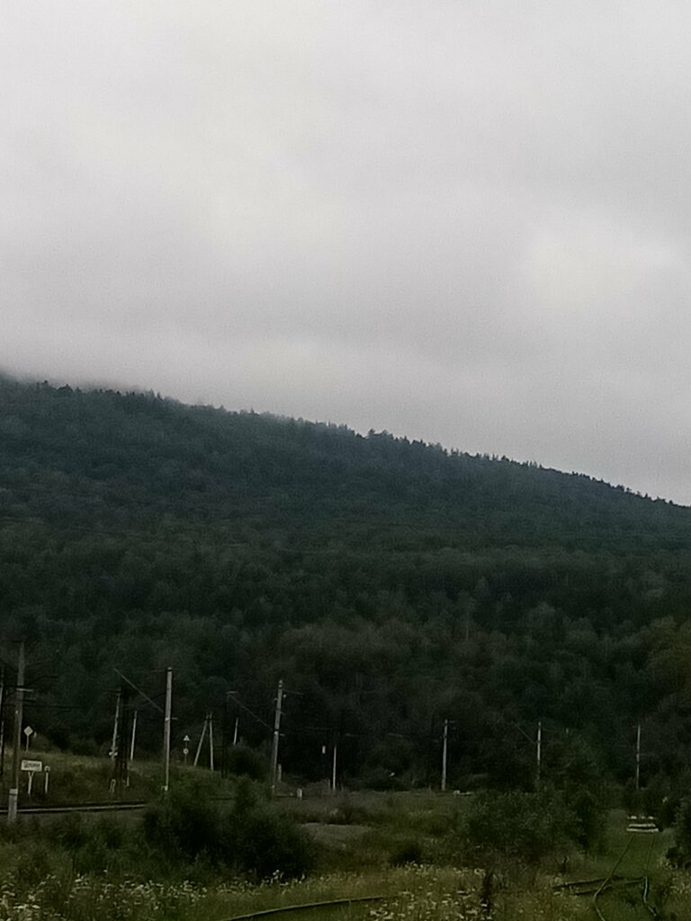 Tren istasyonu остановочный пункт Ищелка, Çeliabinskaya oblastı, foto