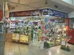Hous Wares (Leningradskaya Street No:7), züccaciye mağazaları  Podolsk'tan