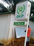Ocp Ci (Abidjan, Cocody, Rue Viviane), danışmanlık hizmetleri  Abican'dan