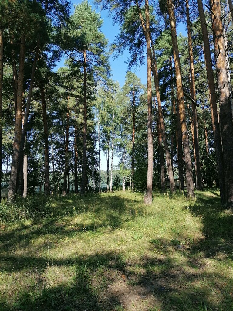 Kantin, yemekhane Столовая, Moskova ve Moskovskaya oblastı, foto