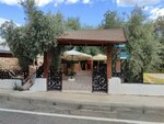 Zerdali Cafe (Türkkuyusu Mah., Mars Mabedi Cad., No:20, Bodrum, Muğla), kafe  Bodrum'dan