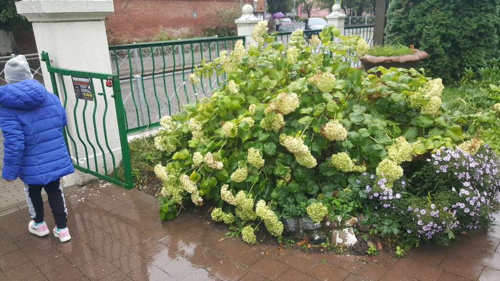 Kurs Dom Detskogo Tvorchestva, Bagrationovsk, foto