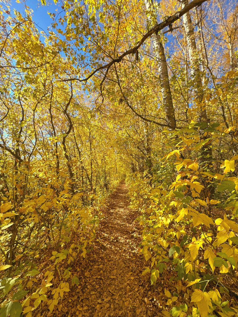 Kültür ve eğlence parkları Заречный парк, Glazov, foto