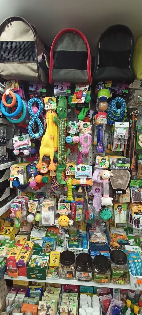 Petshop Котёнок Гав, Tambov, foto