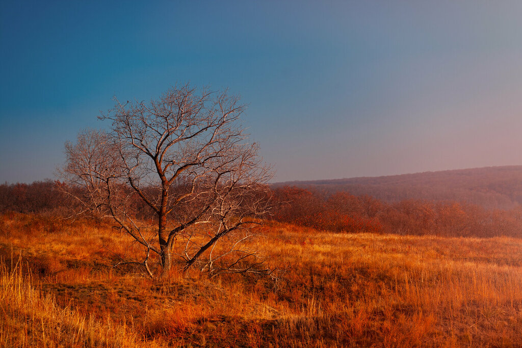 Seyir terası Смотровая площадка, Voronej, foto