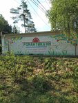 Романтика-НН (No:2, territoriya Sanatoriy-profilaktoriy Rassvet, kurortny posyolok Zelyony Gorod), yaz kampı  Nijni Novgorod'dan
