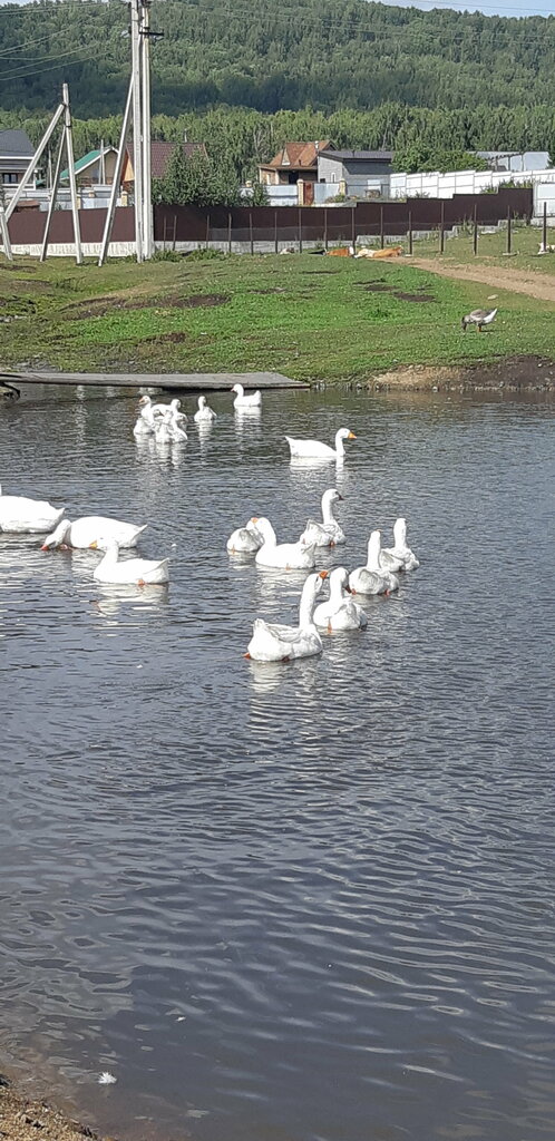 Tatil altyapısı Санаторий Уральские зори, корпус № 1, Başkurdistan, foto