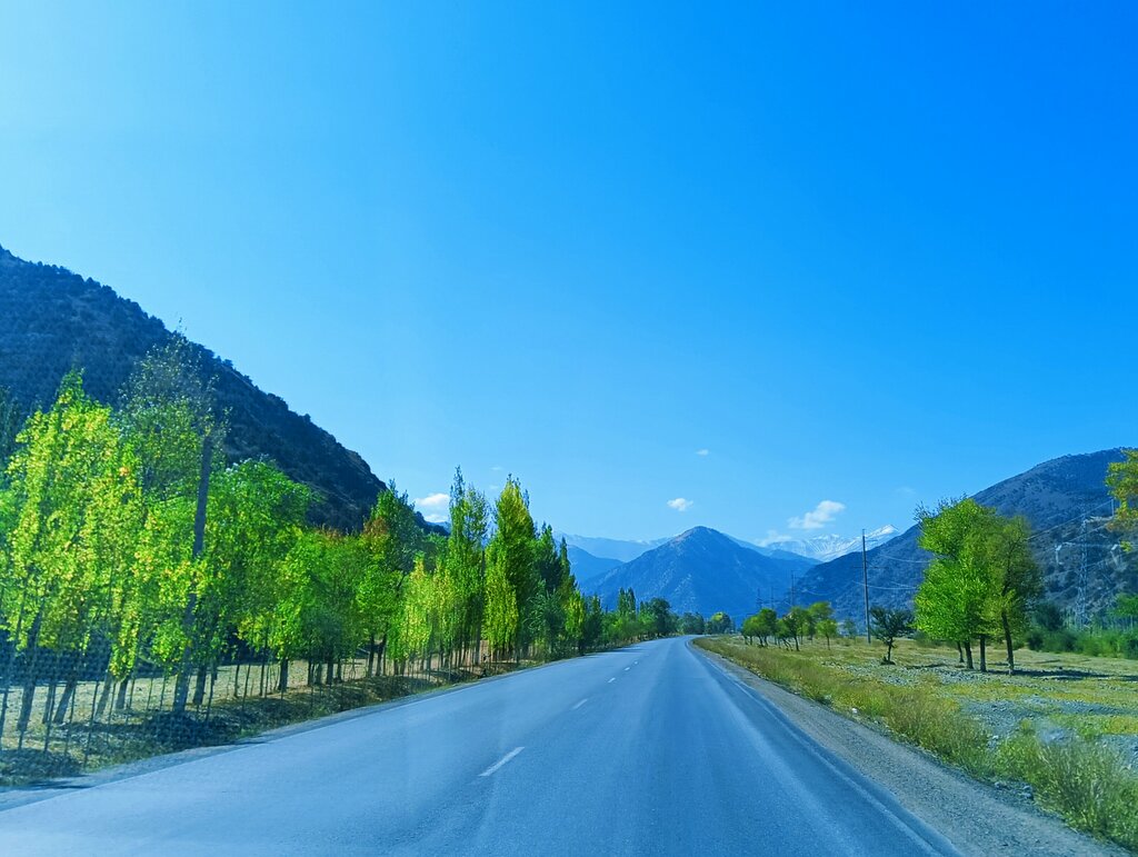 Kafe Ошхонаи Асал, Suğd (Sogd) ili, foto