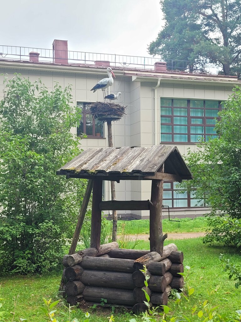 Park, sokak heykeli Аисты и колодец, Zelenogorsk, foto