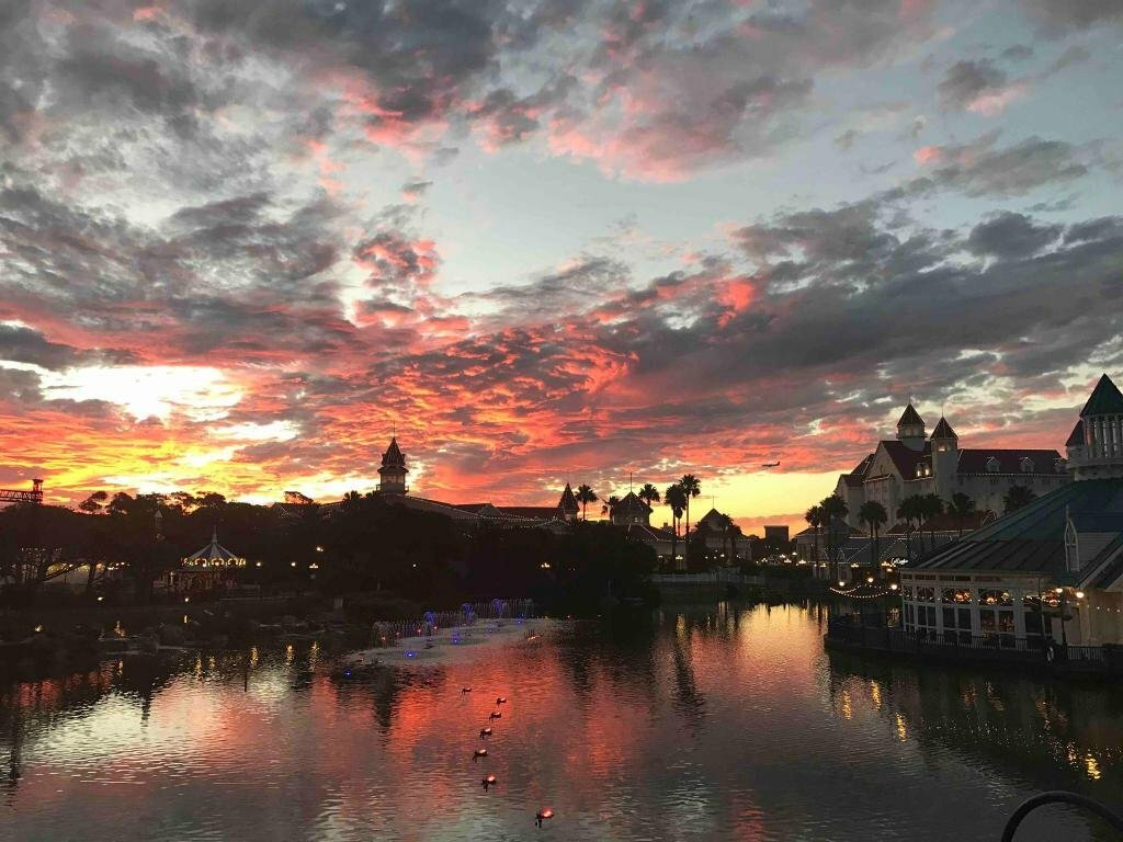 Otel Singa Lodge - Lion Roars Hotels & Lodge, Port Elizabeth, foto