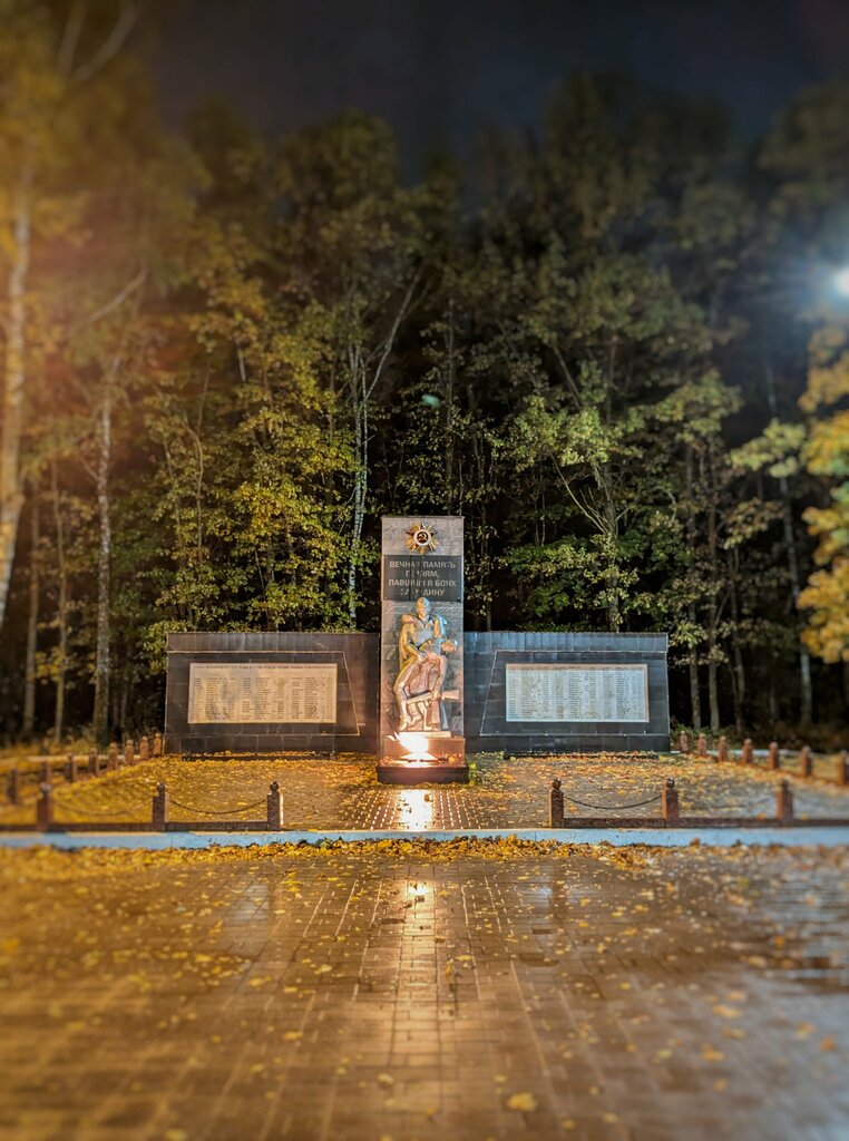 Anıt, heykel Вечный огонь, Tulskaya oblastı, foto